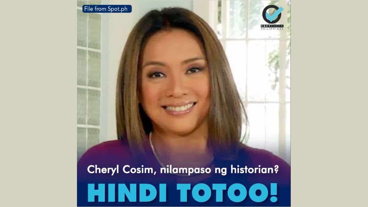 Cheryl Cosim, nilampaso ng isang eksperto sa kasaysayan?