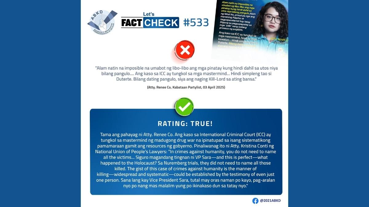 Atty. Renee Co: "Alam natin na imposible na umabot ng libo-libo ang mga pinatay kung hindi dahil ...